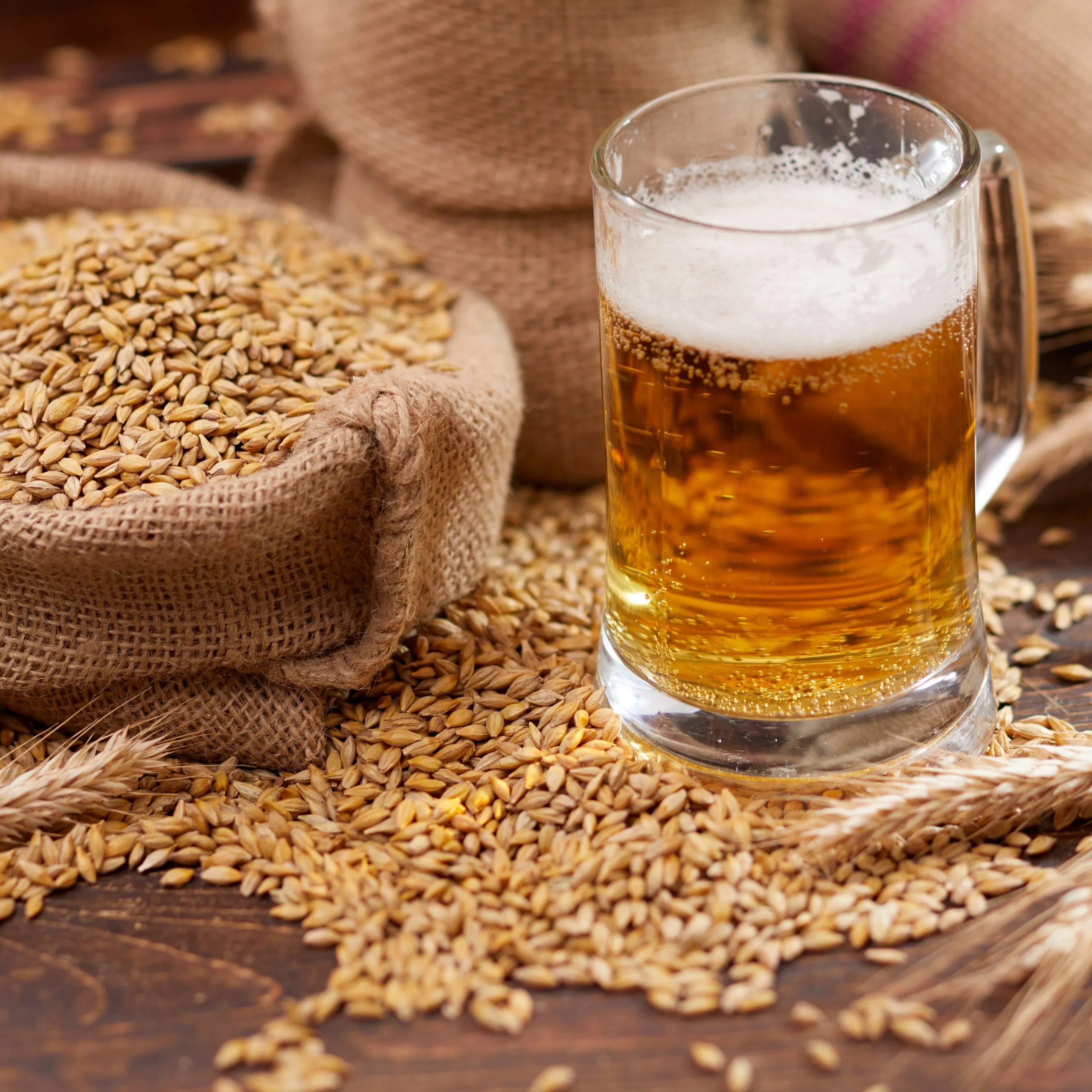 Notre Entreprise | Nascom Group